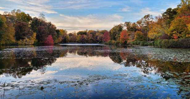 Autumn: Letting Things Go – Lauren Ostrout ~ on being made well