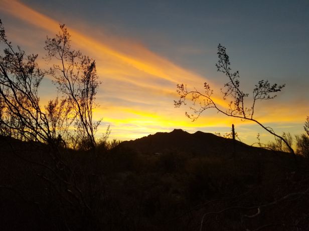 “Holding Fast” Sermon – Lauren Ostrout ~ on being made well