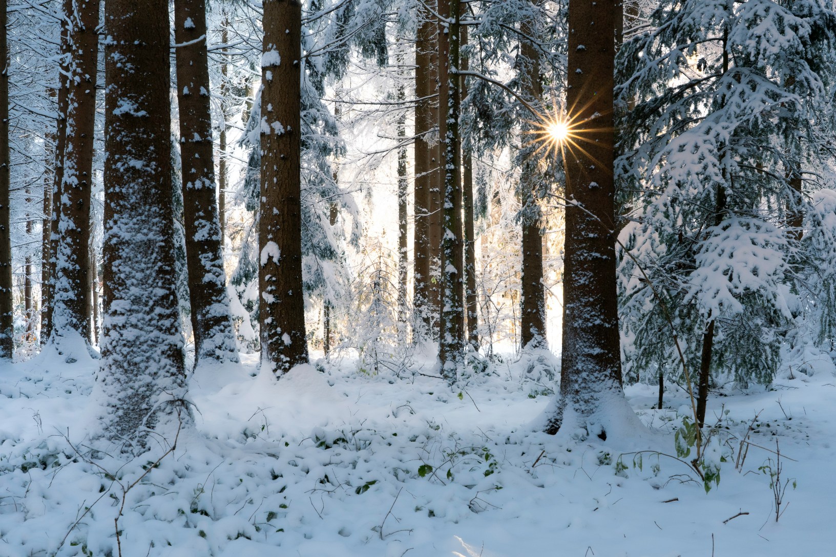 The season of Epiphany – Lauren Ostrout ~ on being made well